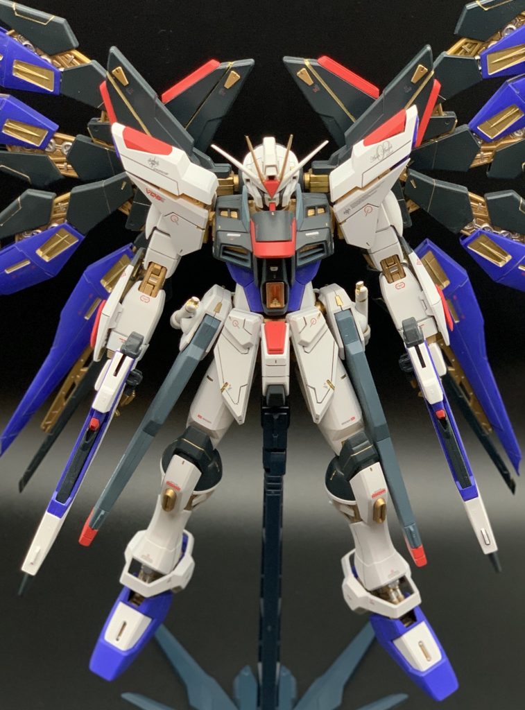 Mgストライクフリーダムガンダム｜hikeさんのガンプラ作品｜gunsta（ガンスタ）