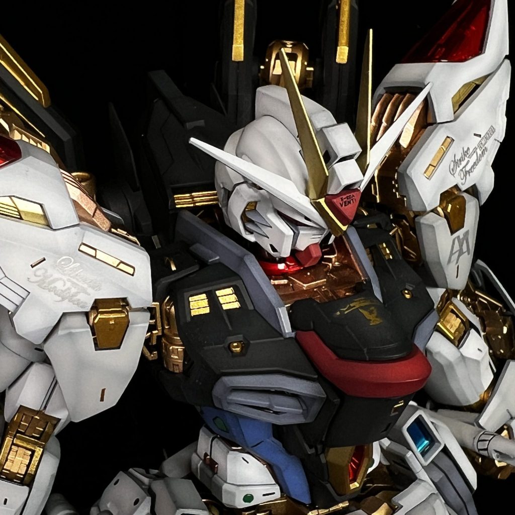 MGEXストライクフリーダムガンダム｜かどさんのガンプラ作品｜GUNSTA（ガンスタ）