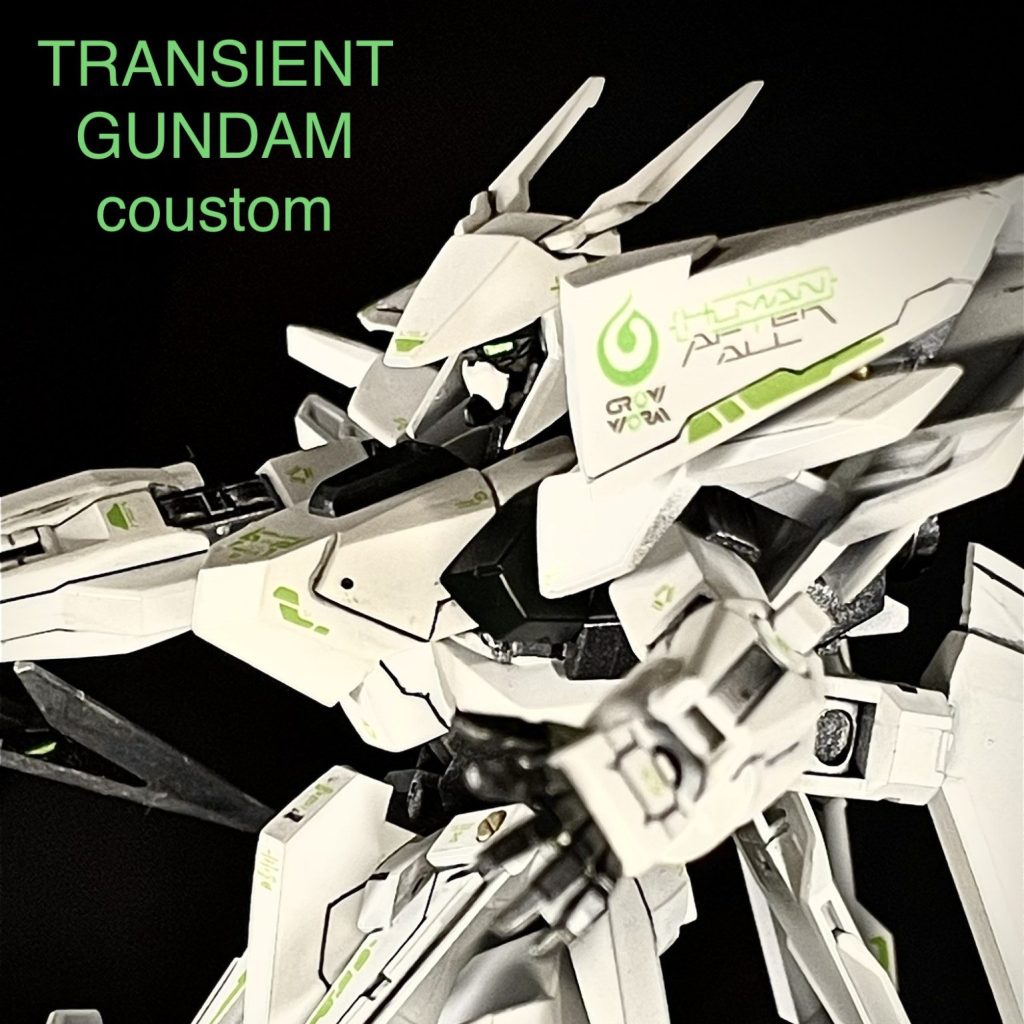 TRANSIENT GUNDAM COUSTOM｜ゆた吉さんのガンプラ作品｜GUNSTA（ガンスタ）