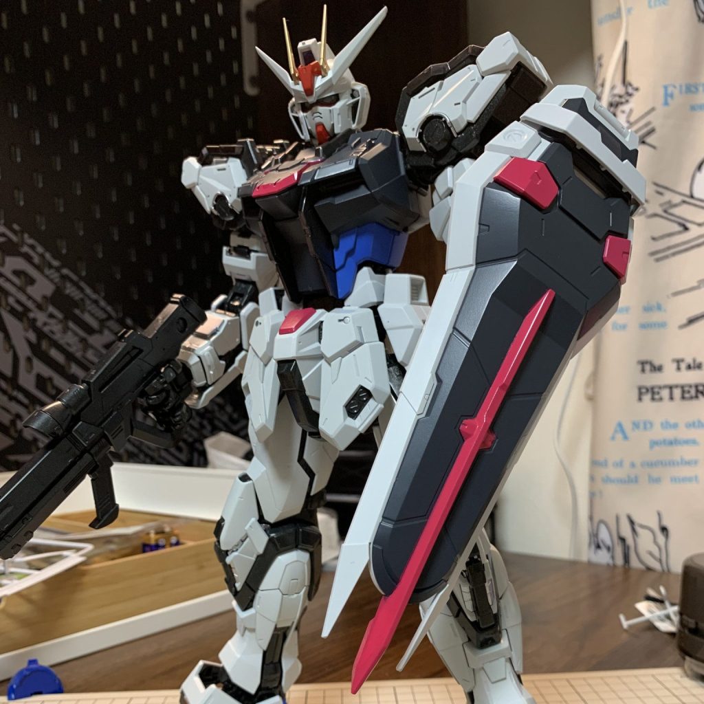 PG ストライクガンダム｜ゆうさんのガンプラ作品｜GUNSTA（ガンスタ）