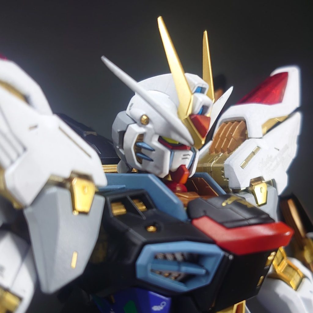 MGEX ストライクフリーダムガンダム｜ノーマンさんのガンプラ作品｜GUNSTA（ガンスタ）